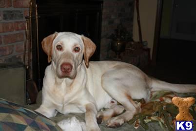 Marley 17 Years old