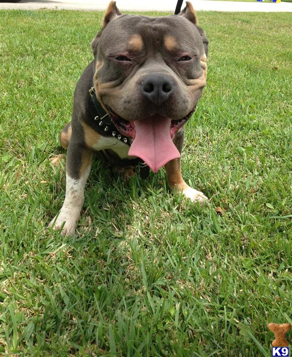 Tri-low 14 Years old