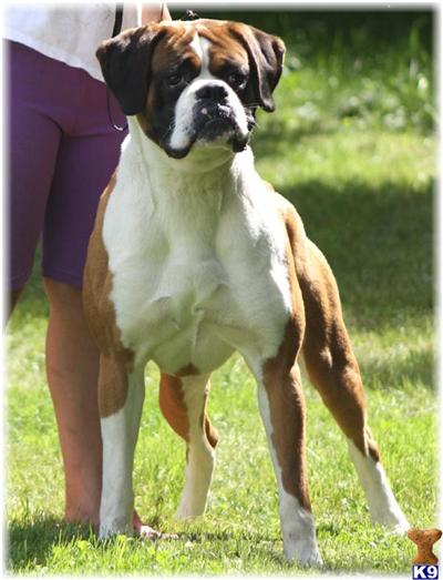 Tysadies Daytime Hunter 19 Years old