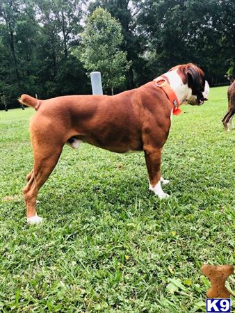 Zeke Akuma 8 Years old