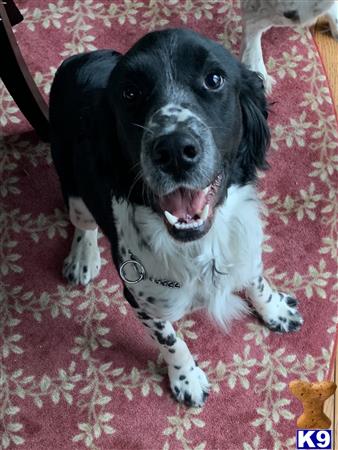 Winchester 6 Years old